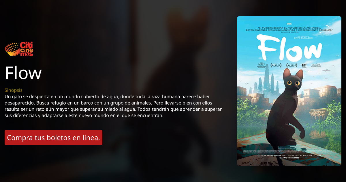 Flow | 24 de diciembre, 2025